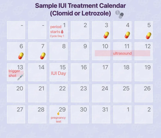 IVF, the best fertility doctors and surgeons in Iran, accommodation